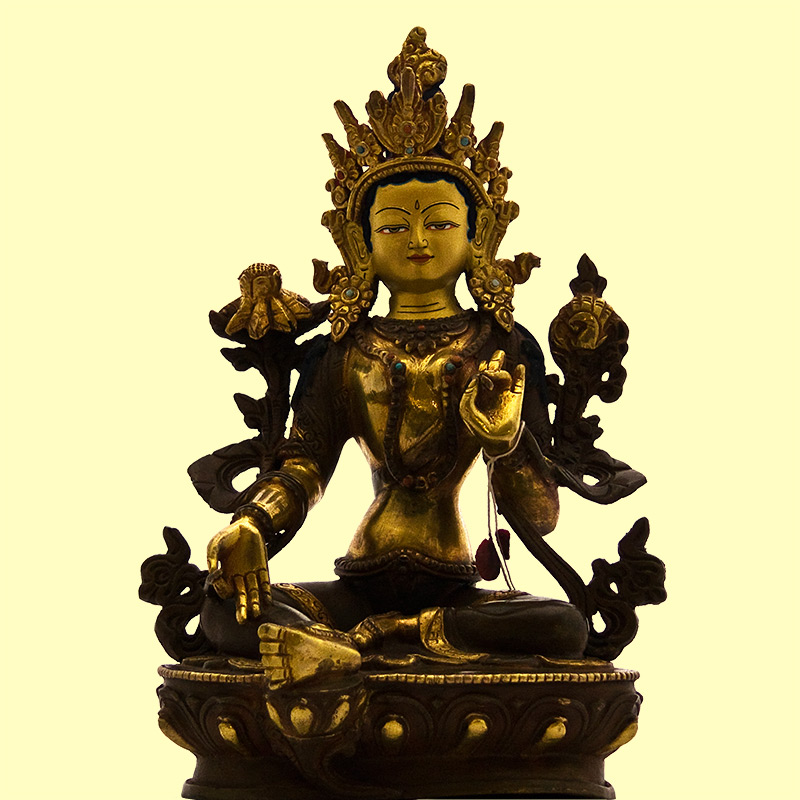 TARA Nepal-Bazar